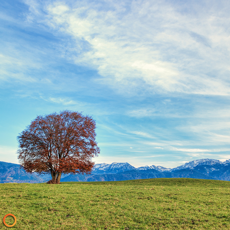 Geothermal listed as crucial for the global development of clean energy ...